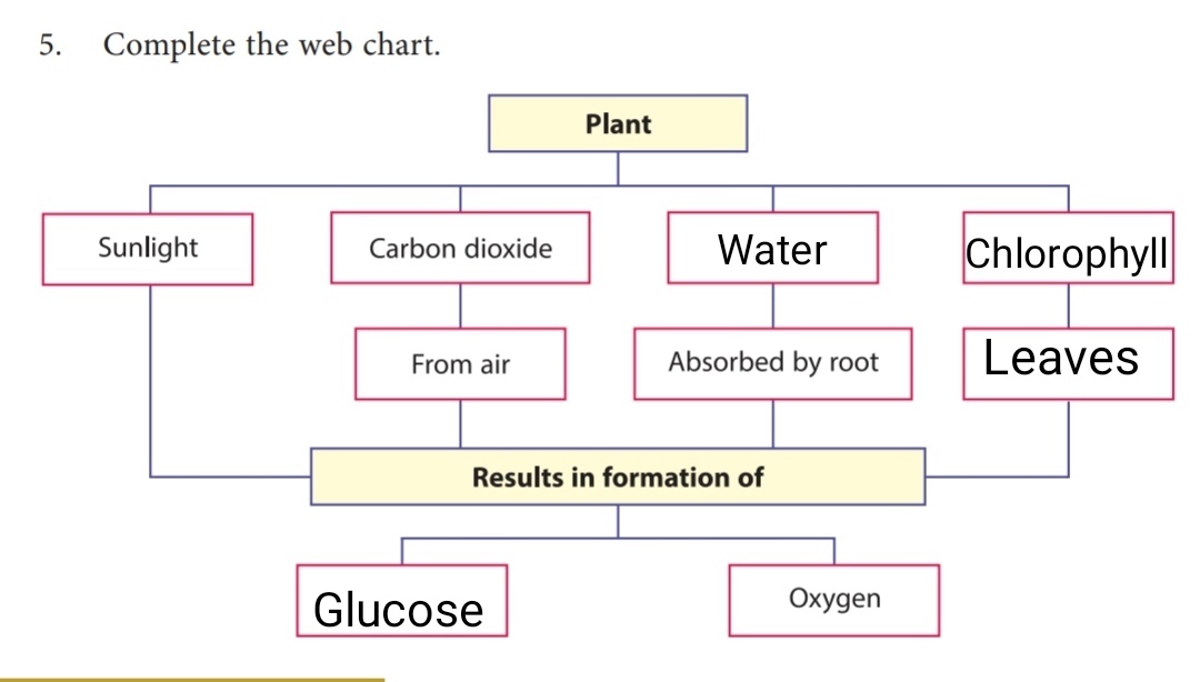 Class 7 Science Chapter-1 Nutrition in Living Organisms-Plants DAV|CBSE ...