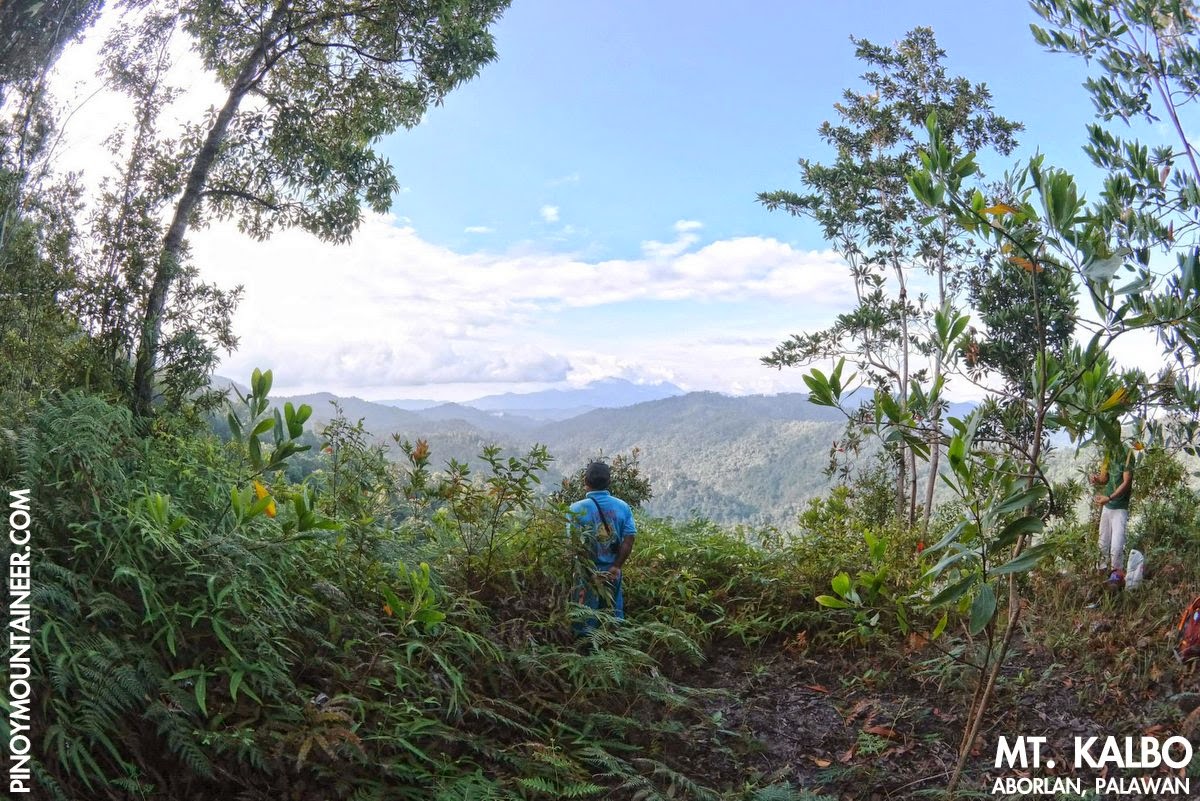 Hiking matters #429: Exploring Mt. Kalbo in Aborlan, Palawan ~ Pinoy ...