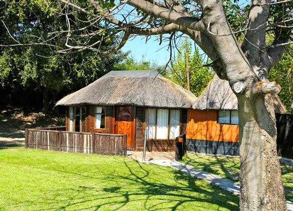 News from Southern Africa & Namibia: Namibia: update from Kalizo Lodge ...