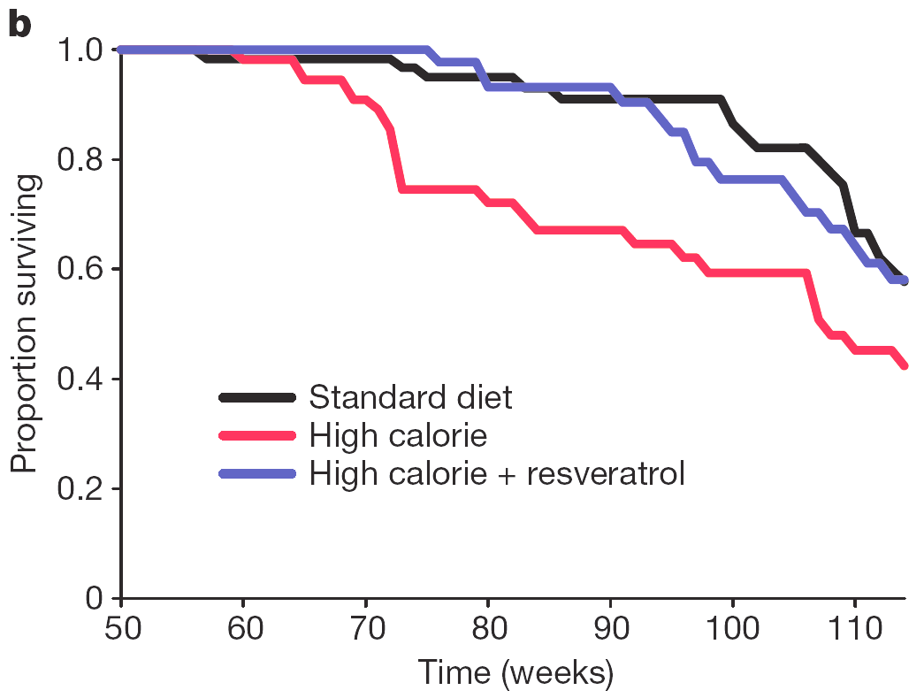 The Boundless Thicket: Red Wine: the Elixer of Life?