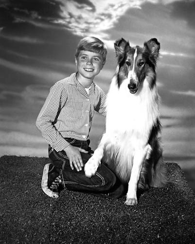 LASSIE (1954-1973)