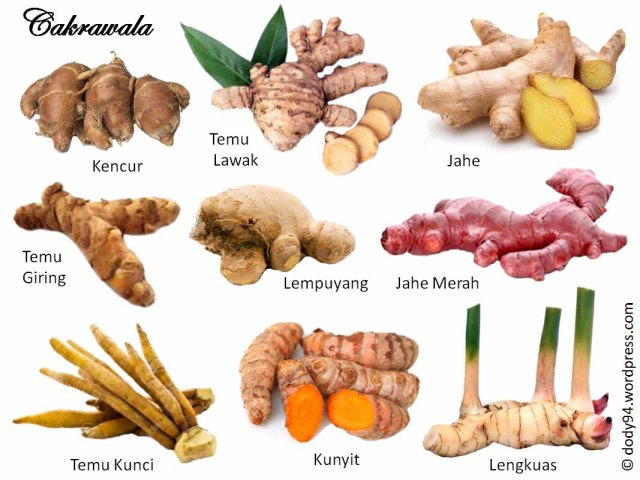 PRAKARYA KELAS 9 "PENGOLAHAN HASIL PETERNAKAN DAN PERIKANAN MENJADI ...