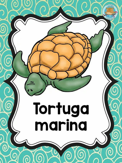 Flashcards sobre animales acuáticos - Flashcards about aquatic animals ...