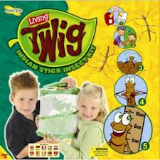 Costcutters Education Supplies - The Insect Lore Living Stick ...