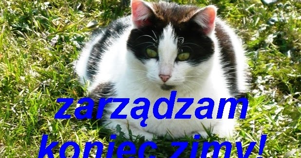 Dziś też Cię kocham: cieszy się starzec jak przeżyje marzec