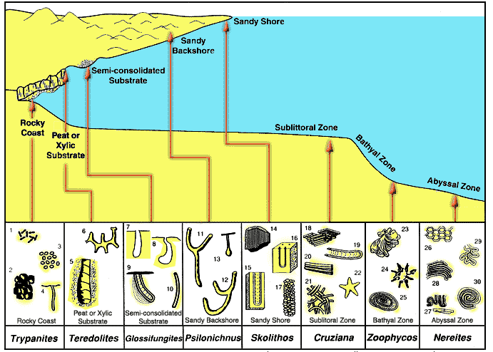 Mi Geoblog: Geologia y más: marzo 2015
