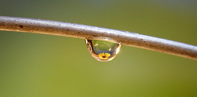 √ 10 easily observable examples of refraction of light in daily life ...