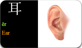 每日中文 Daily Zhongwen: Chinese characters with the radical 耳(ěr - Ear)