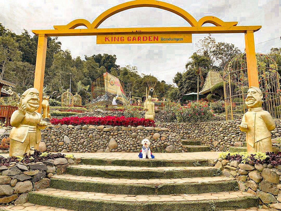 Tiket Masuk Dan Lokasi Wisata Baru King Garden Bandungan Semarang Tiket Masuk Dan Lokasi Wisata Baru King Garden Bandungan Semarang