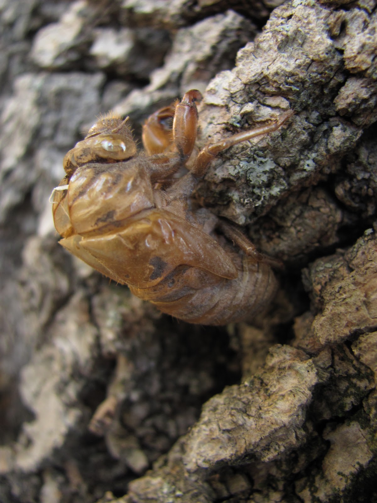 curving back: October 2011