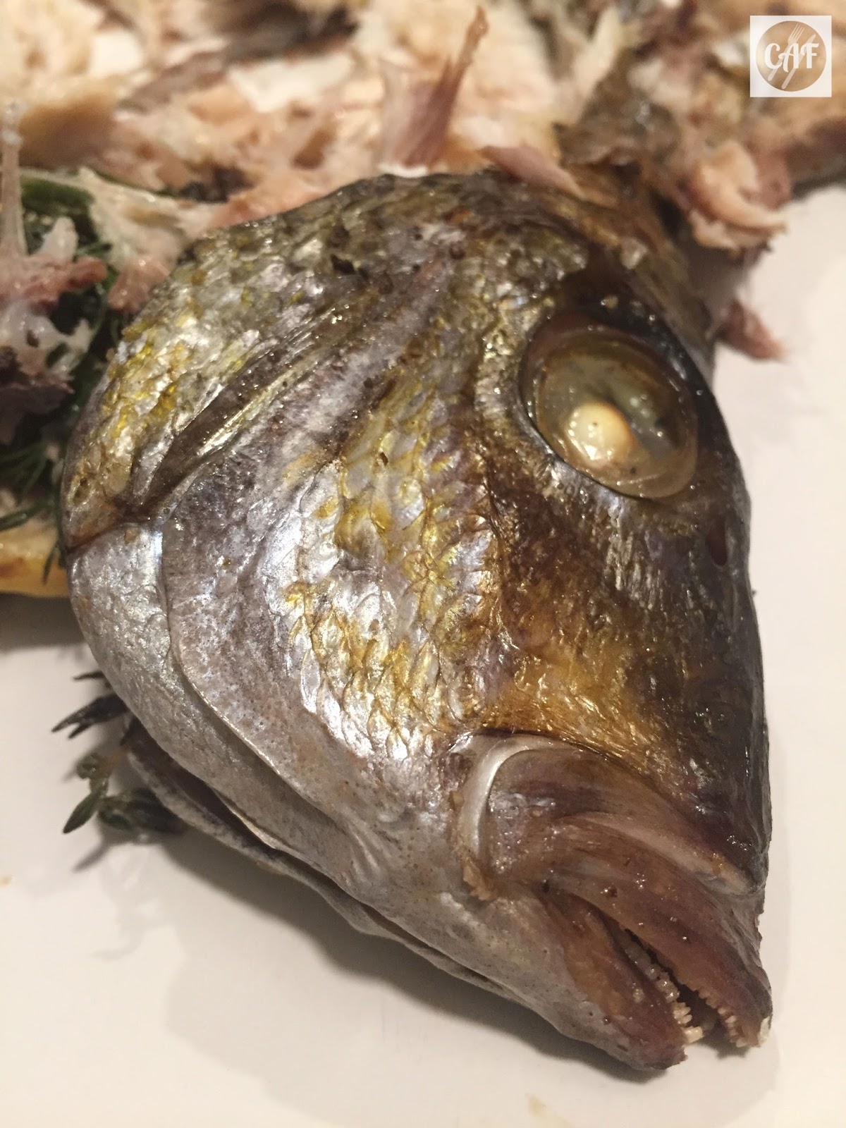 Creating a Foodie: an honest-to-goodness kitchen experience: Lessons ...