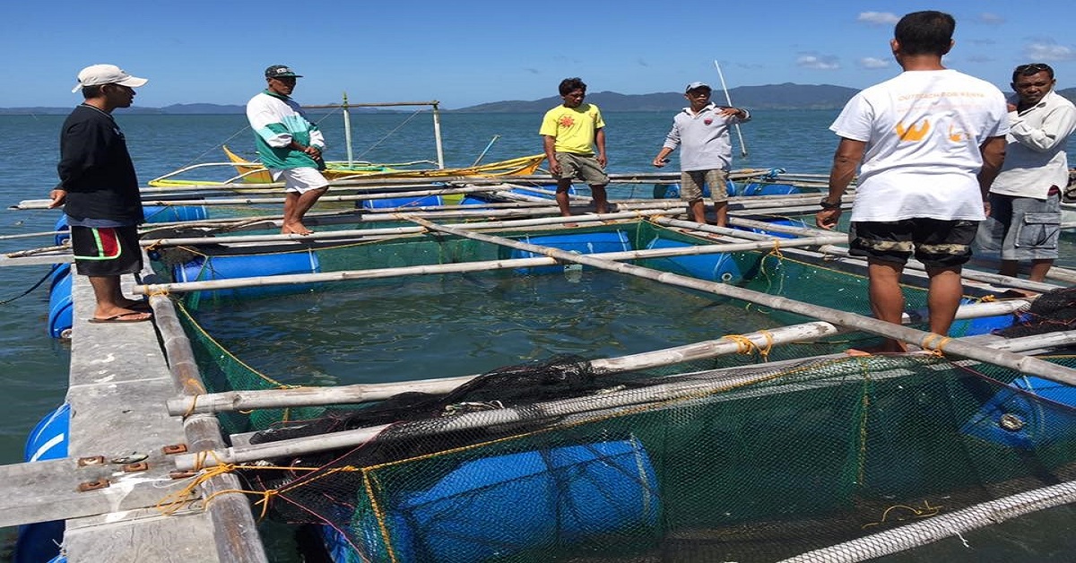 Facebook Twitter Google+ Pinterest Linkedin