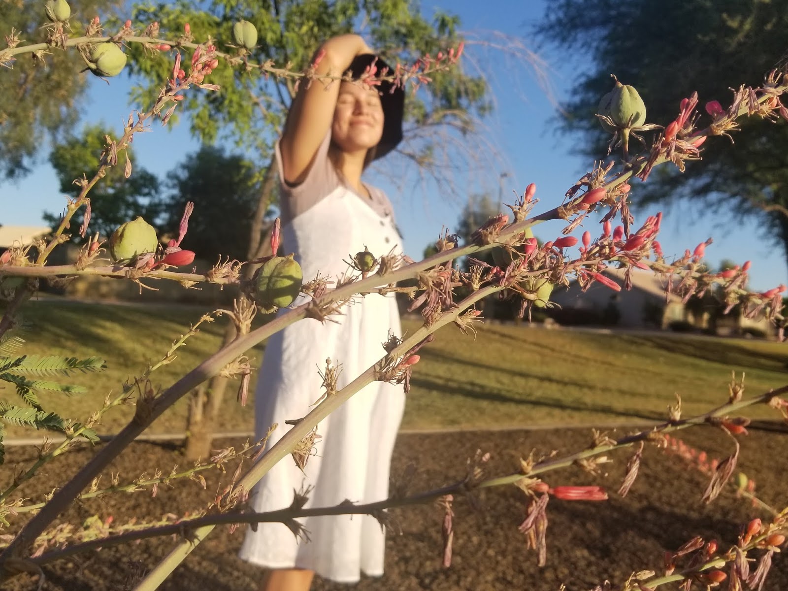 Hermana Angela Mamani