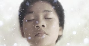 The Verse Novel Review: Marilyn Hilton's _Full Cicada Moon_