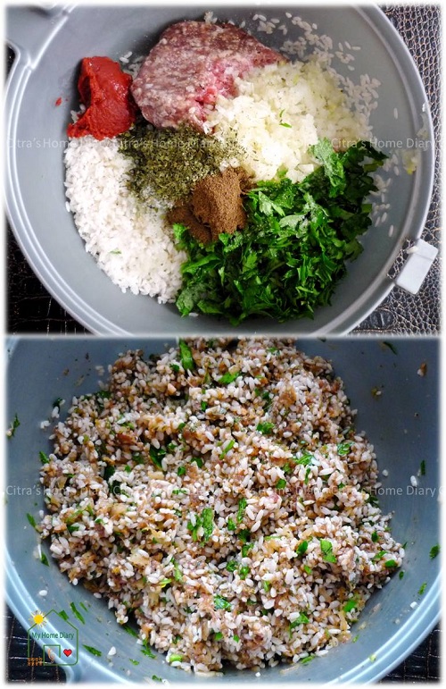 Citra's Home Diary: Kıymalı Yaprak Sarması / Turkish Grape Leaves ...