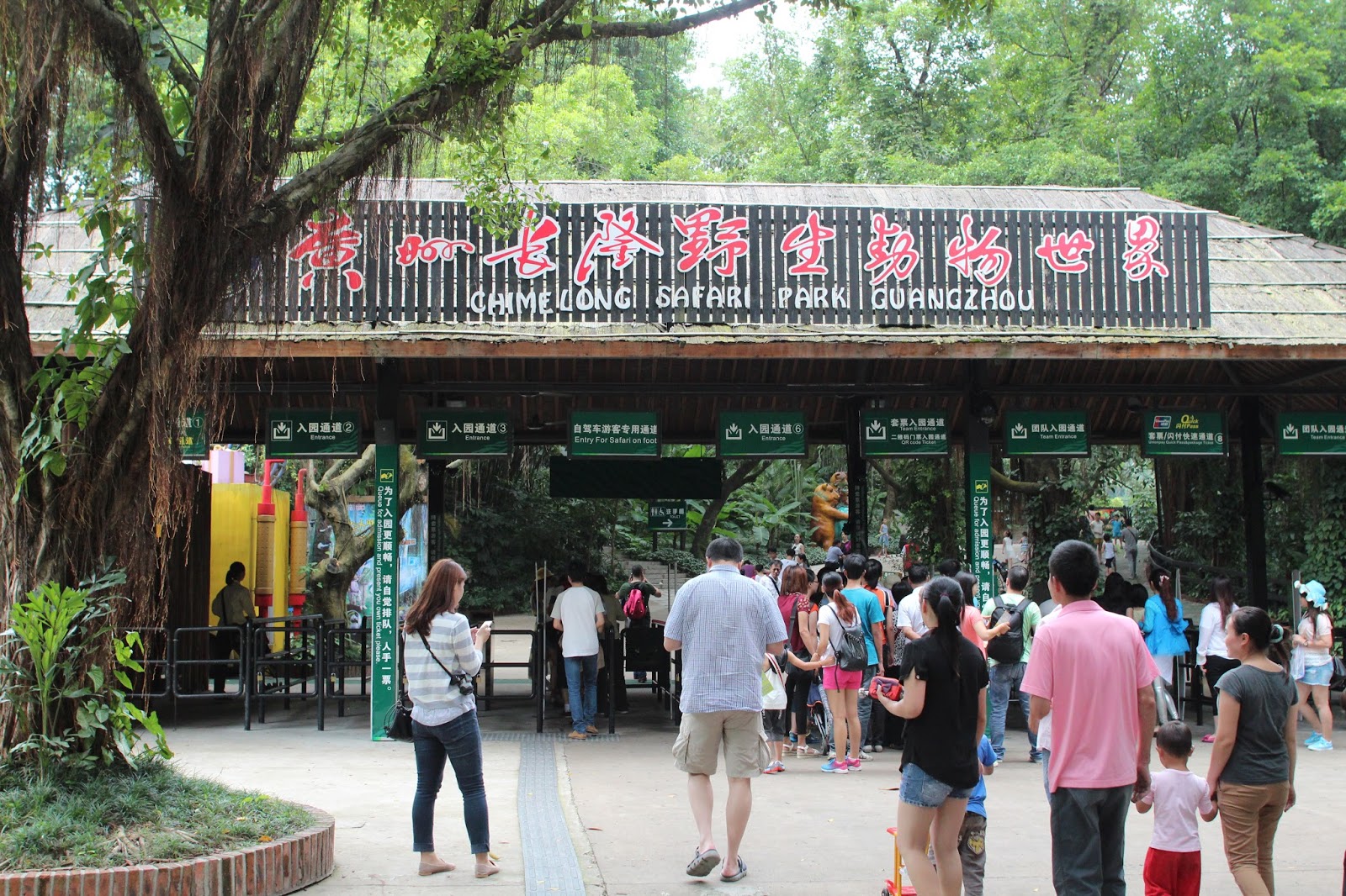 Green Dragon Hill @Chimelong Safari Park, Panyu District