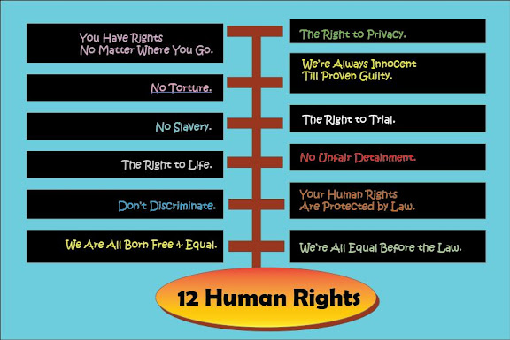 Colour, Shape And 12 Human Rights - The Basic Elements & Principles Of Art