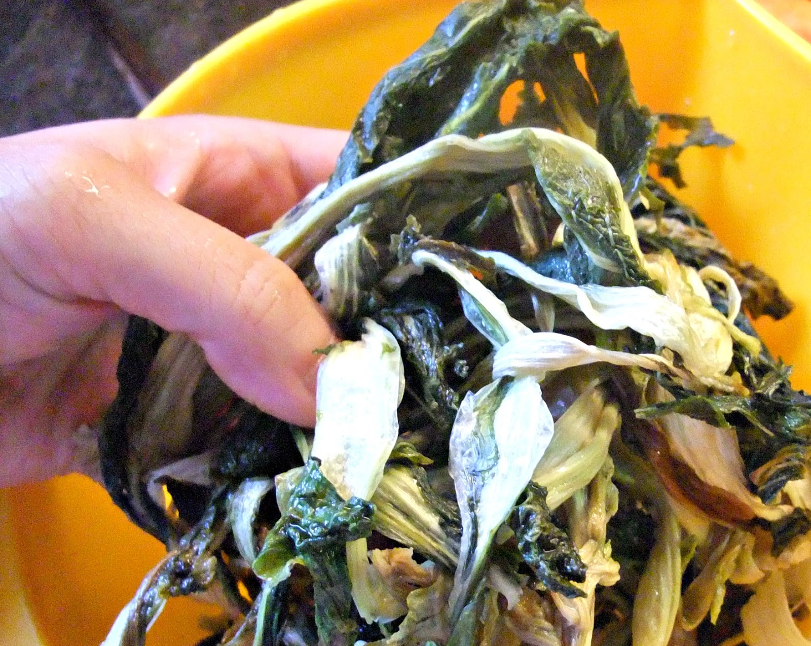 Susan's Savour-It!: Chinese Dried Bak Choy (Cole) and Pork Soup...