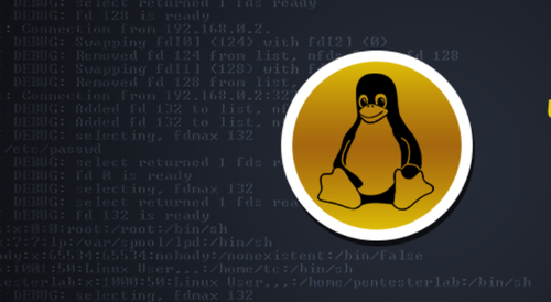 Debug Linux shell scripts with ‘-x’ | LPI Central