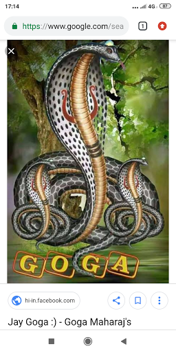 JAY GOGA MAHARAJ IMAGES, NEW IMAGES | IMAGES WOLD FUNNY AND INTRSTED