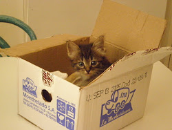 LaNaynay: Tutoriales