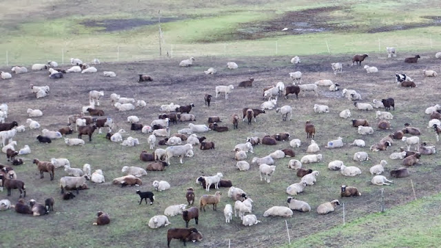 Pfannenstiel Wanderblog: Zur Alpe di Roscera (TI), der Abbruchstelle ...