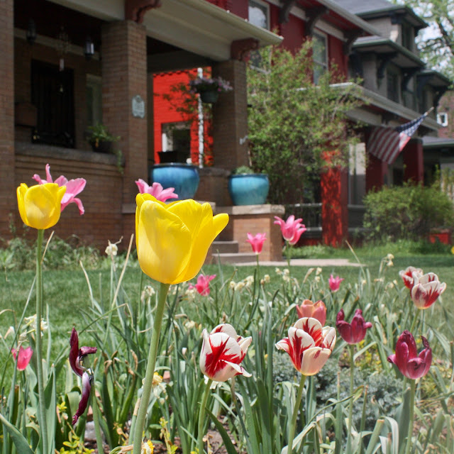 Sparrows & Spatulas: spring time in denver's congress park (with ...