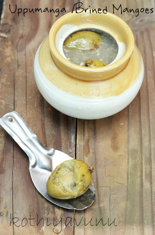 Musings: Pazhan Kanj,Uppu Manga & Kandhari