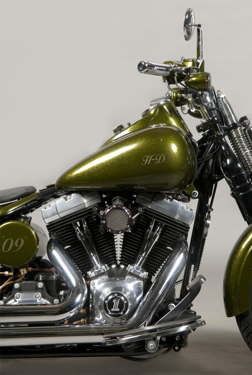 biker excalibur II: SHAW RSD Crossbones Special by Shaw