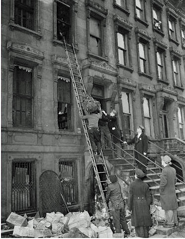 The Bell Curve of Life: The Fascinating Story of Collyer's Mansion