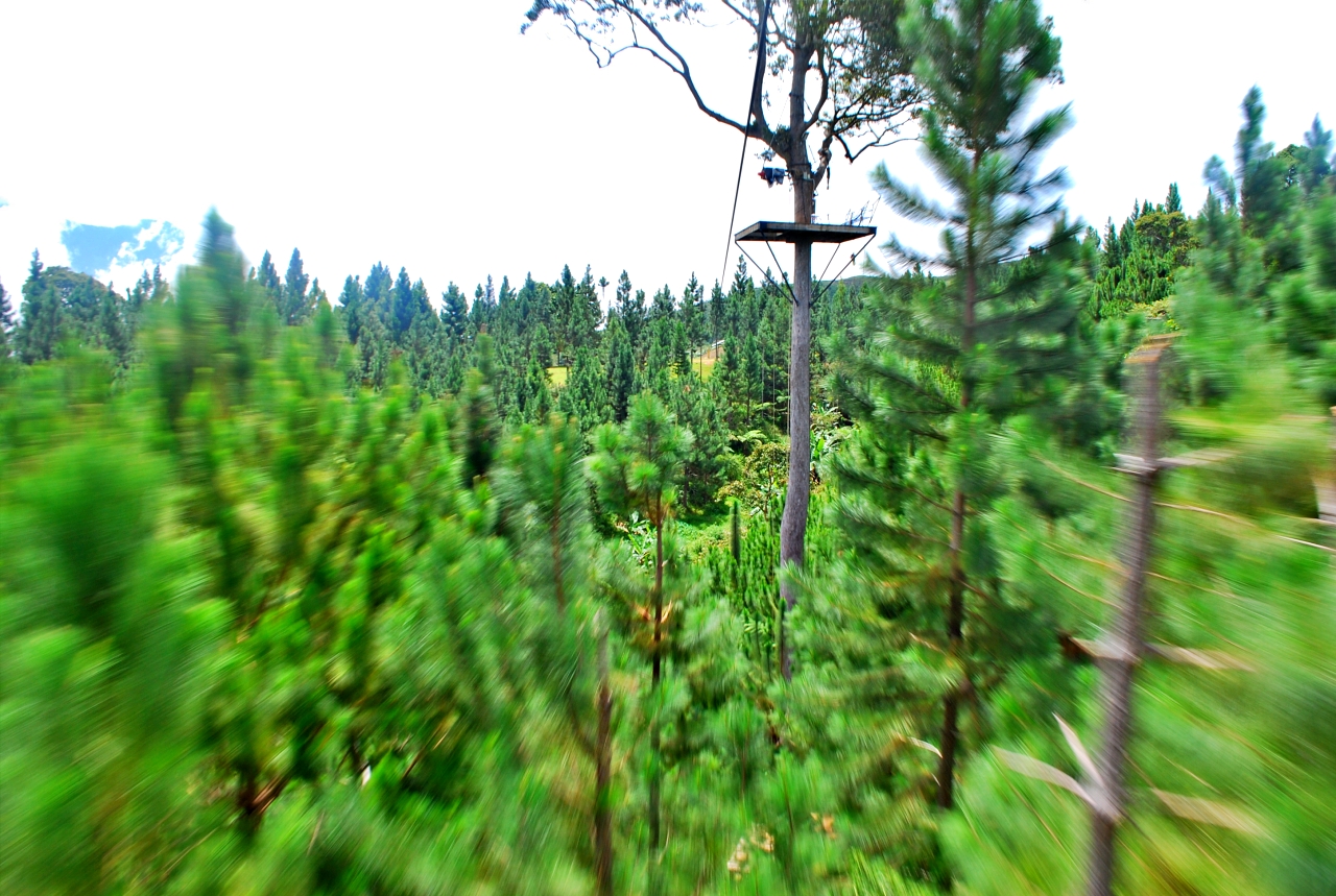 Zipline @ Camp Sabros – Digos City, Davao Del Sur - Nomadic Experiences