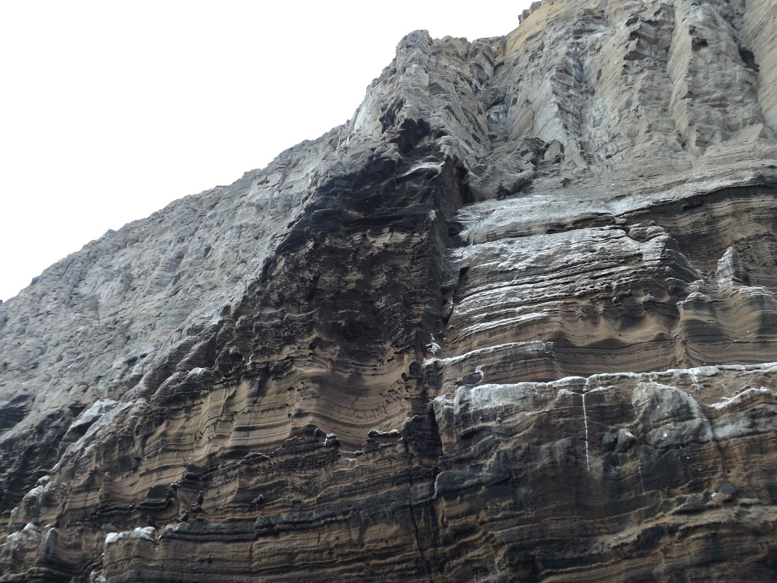 Curioseandando: Viaje a las Islas Galápagos: Punta Vicente Roca (18/08 ...