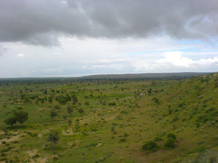 Indus Valley Civilization(Colours Of Sindh): Thar (Desert) After ...