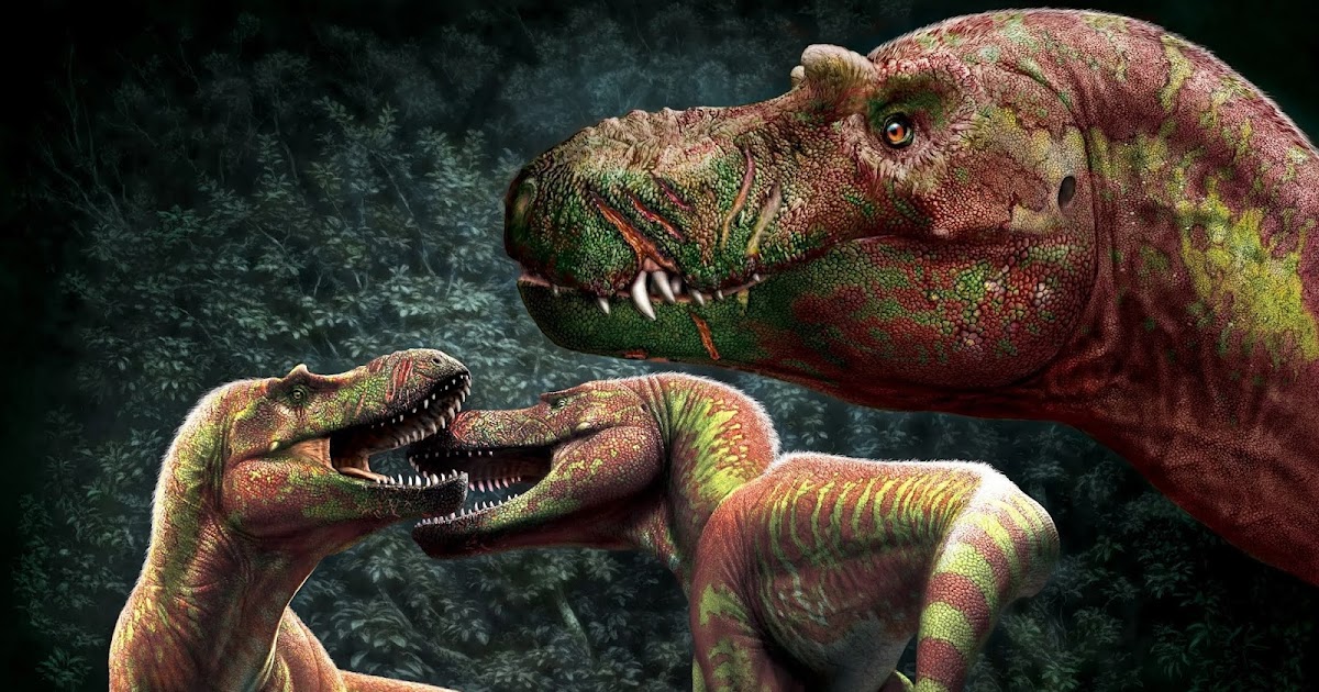 Species New To Science Paleontology • 2021 Intraspecific Facial Bite Marks In Tyrannosaurids