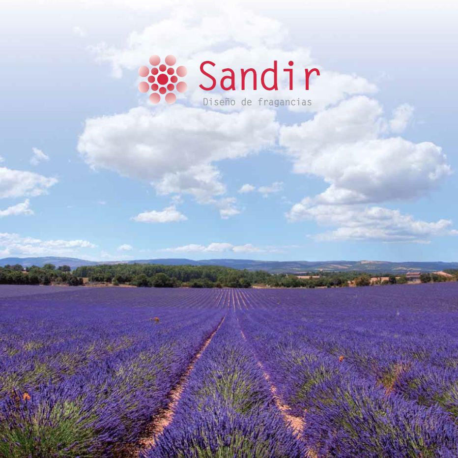 XOOWMAGAZINE: XOOWMAGAZINE30 P28 #xoowdesign SANDIR