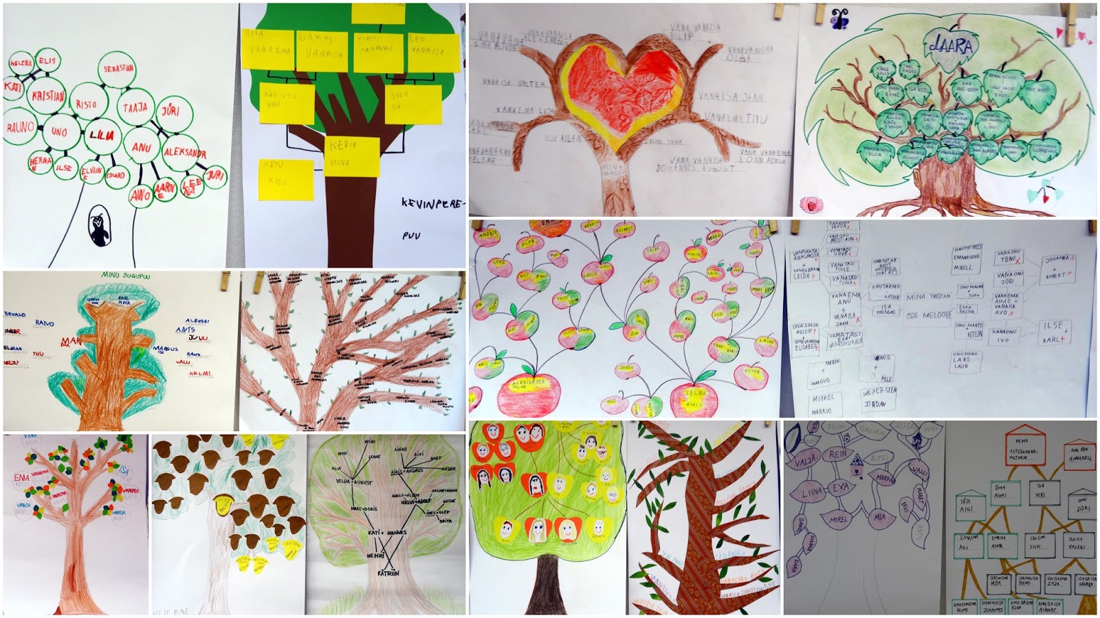 Spordiklass: Sugupuud