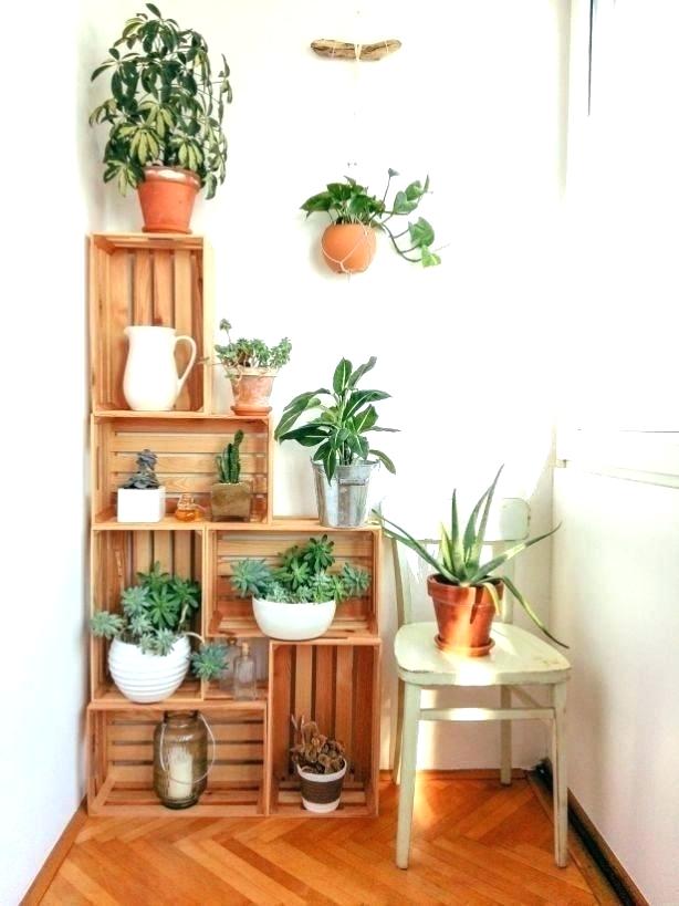 Percantik Hunian dengan 60 Rak Tanaman Minimalis - Rumahku Unik