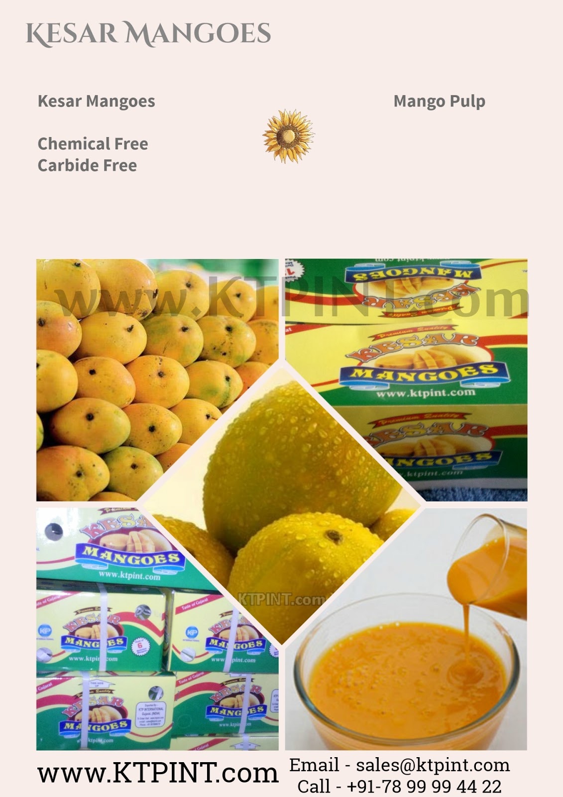 KTP International, India: Fresh Fruits & Vegetables