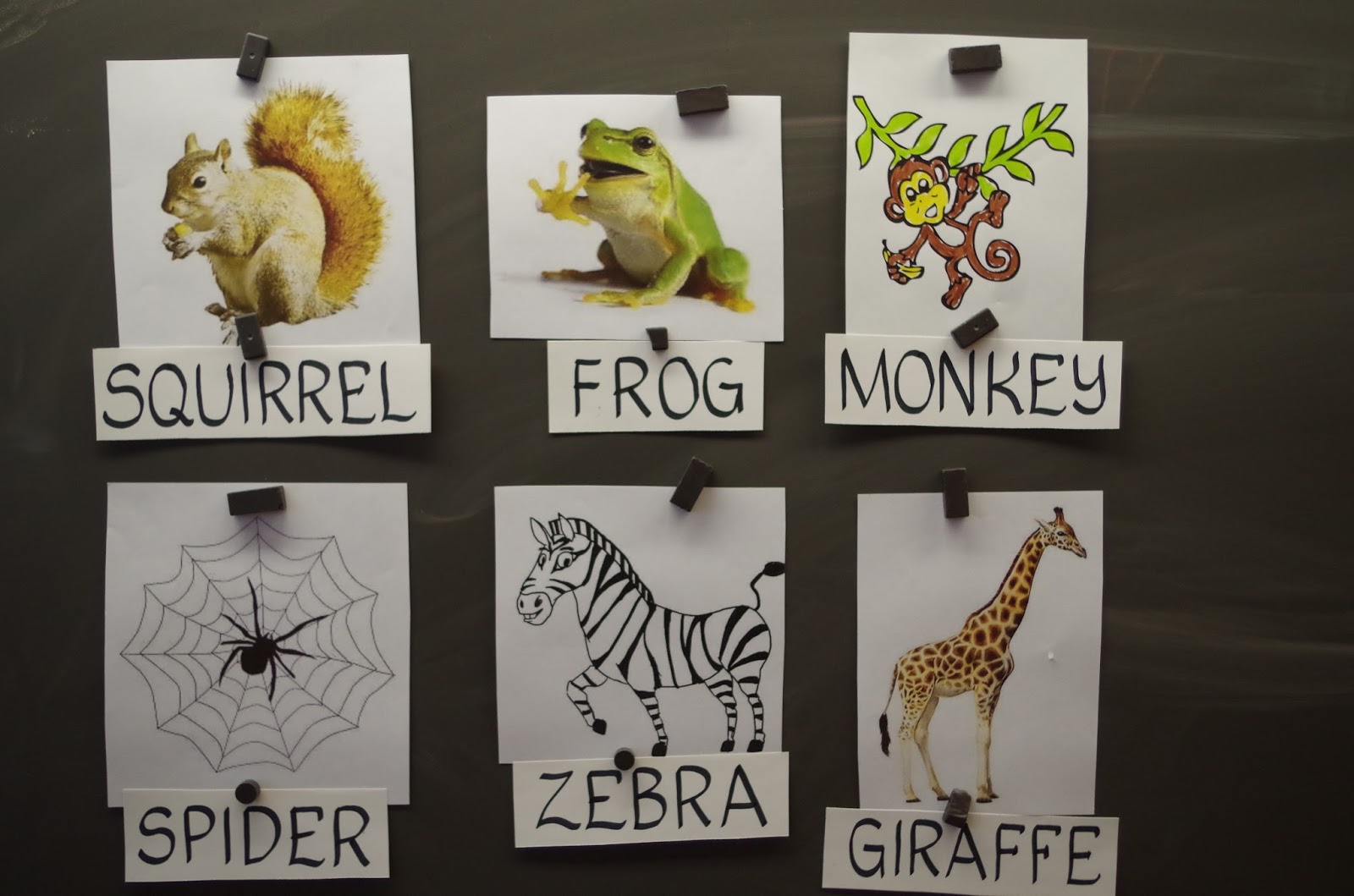 WE LOVE ENGLISH: Year 3: "Animals"