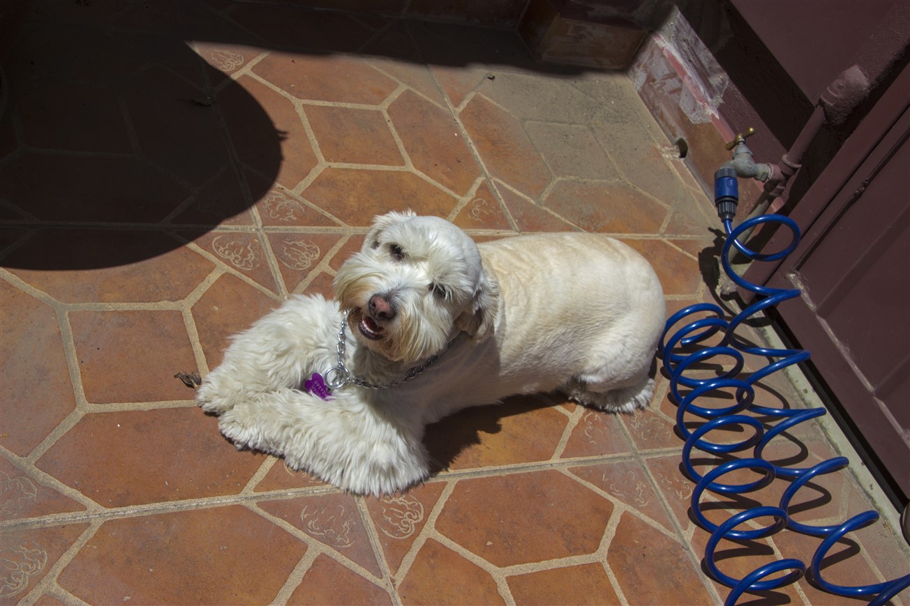 Souvenir Photo Studio, by Al Bourassa: Wednesday August 23, 2017 Bella ...