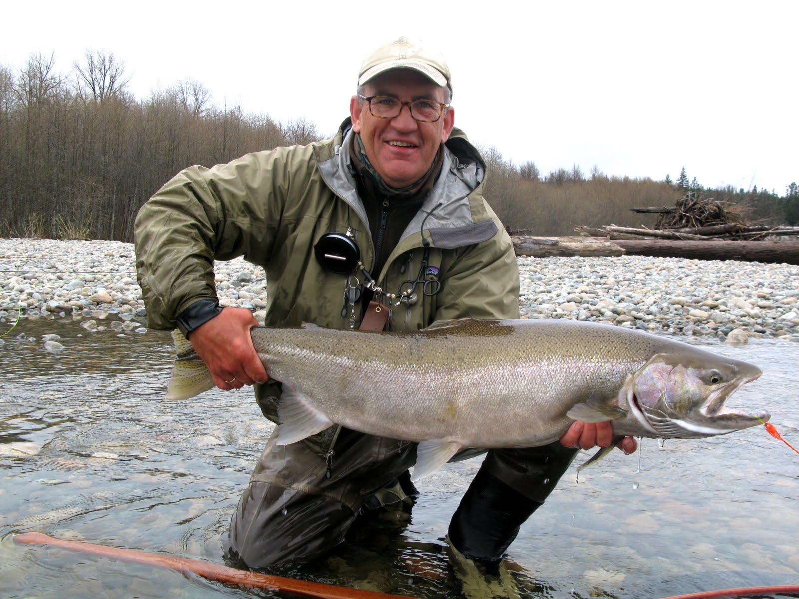 .: More 20 pound plus steelhead!!!!!!!!
