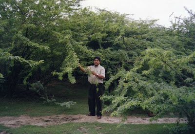 Will Katu-Andra - Destroy The Biodiversity Of Bundala Wet Land? | Sri ...