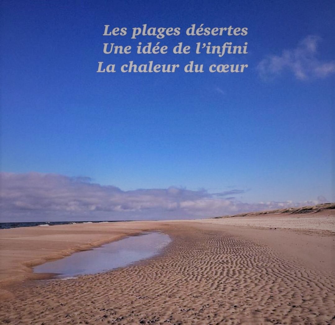 Haïku : Anthologie du poème court Français | Poèmes & Poésies