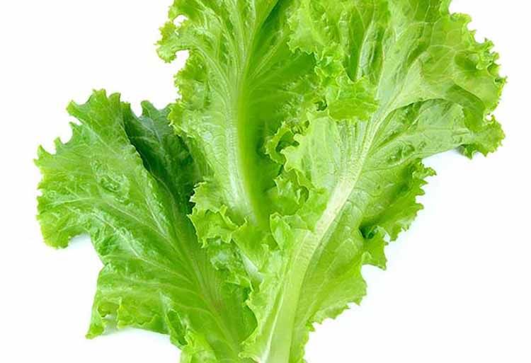 7 Daftar Sayur Rendah Kalori