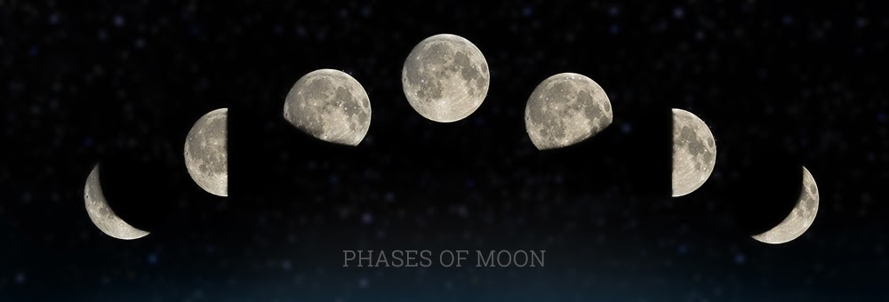 Discover the Why and How of Ekadashi Fasting | Following Sri Sri ...