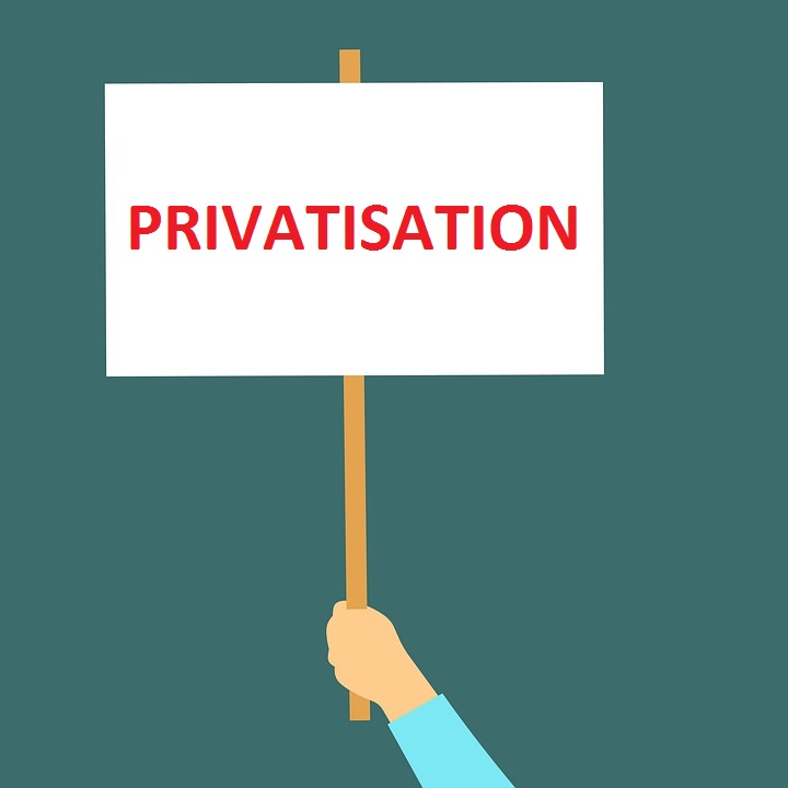 ECONOMICS BY MUJTABA: Privatization