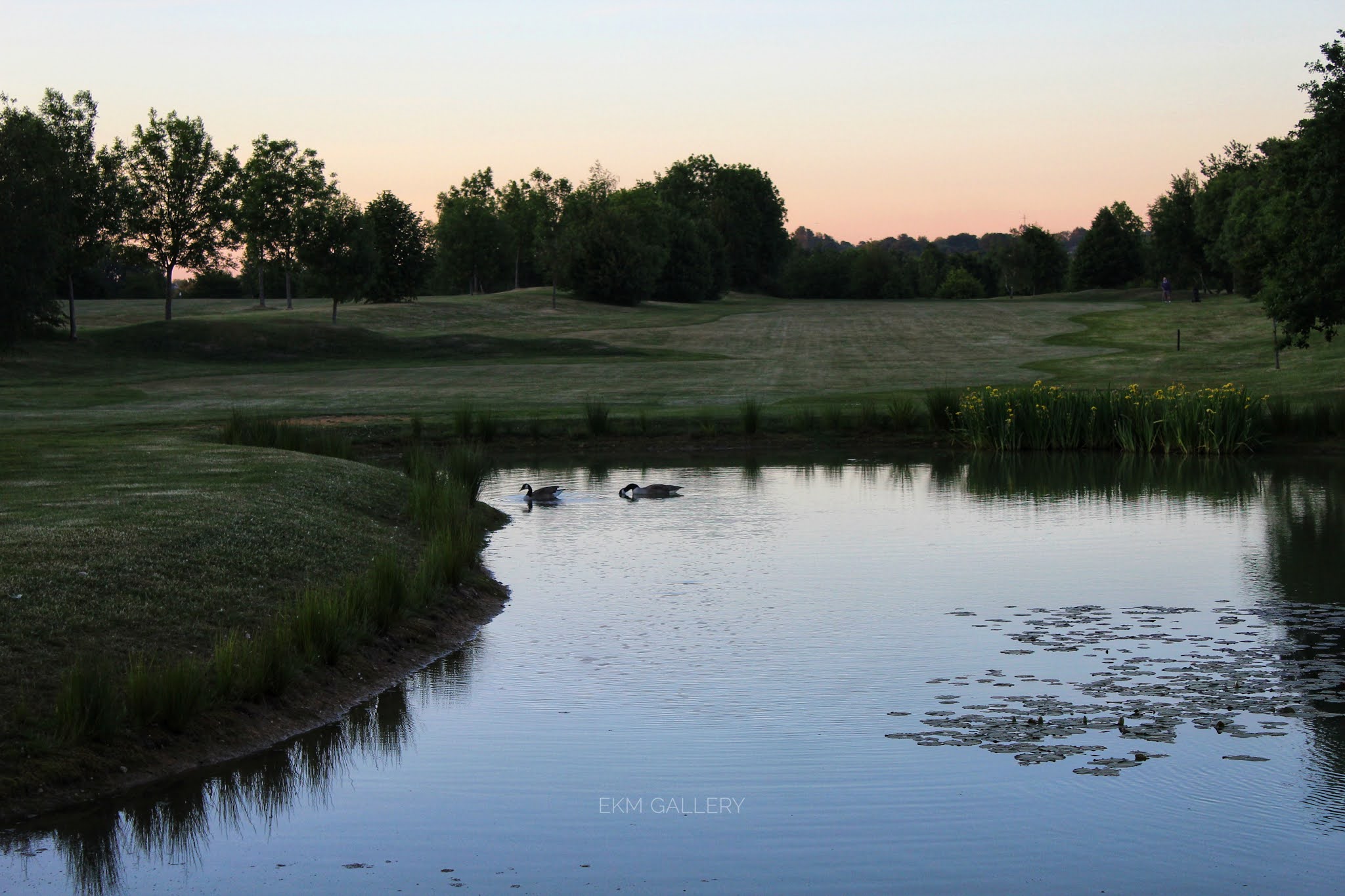 The Burstead Golf Club - Little Burstead, England / Where I play my golf