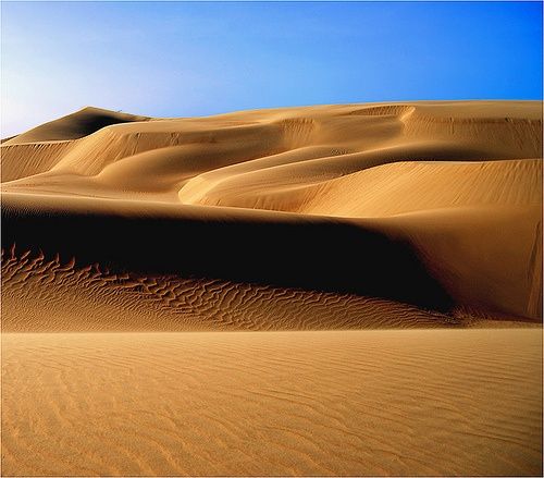 AMIGOS TOUR-TREK: FALCÓN Y SUS MÉDANOS