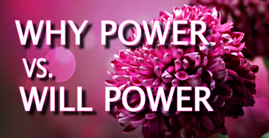 Fit Chick For Life: Why Power VS. Will Power!