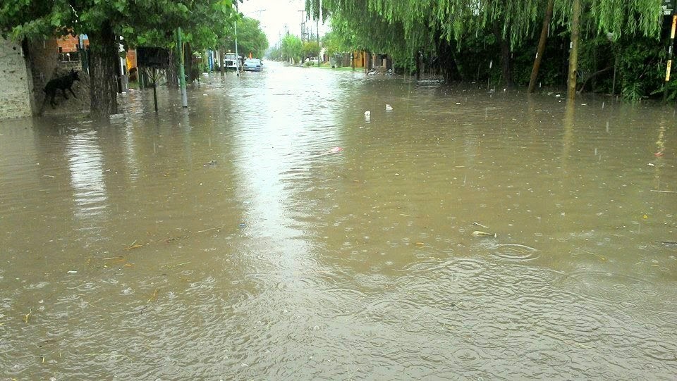 LA GENERACIÓN SIGUIENTE: [FOTOS] El Tigre de Sergio Massa, todo ...